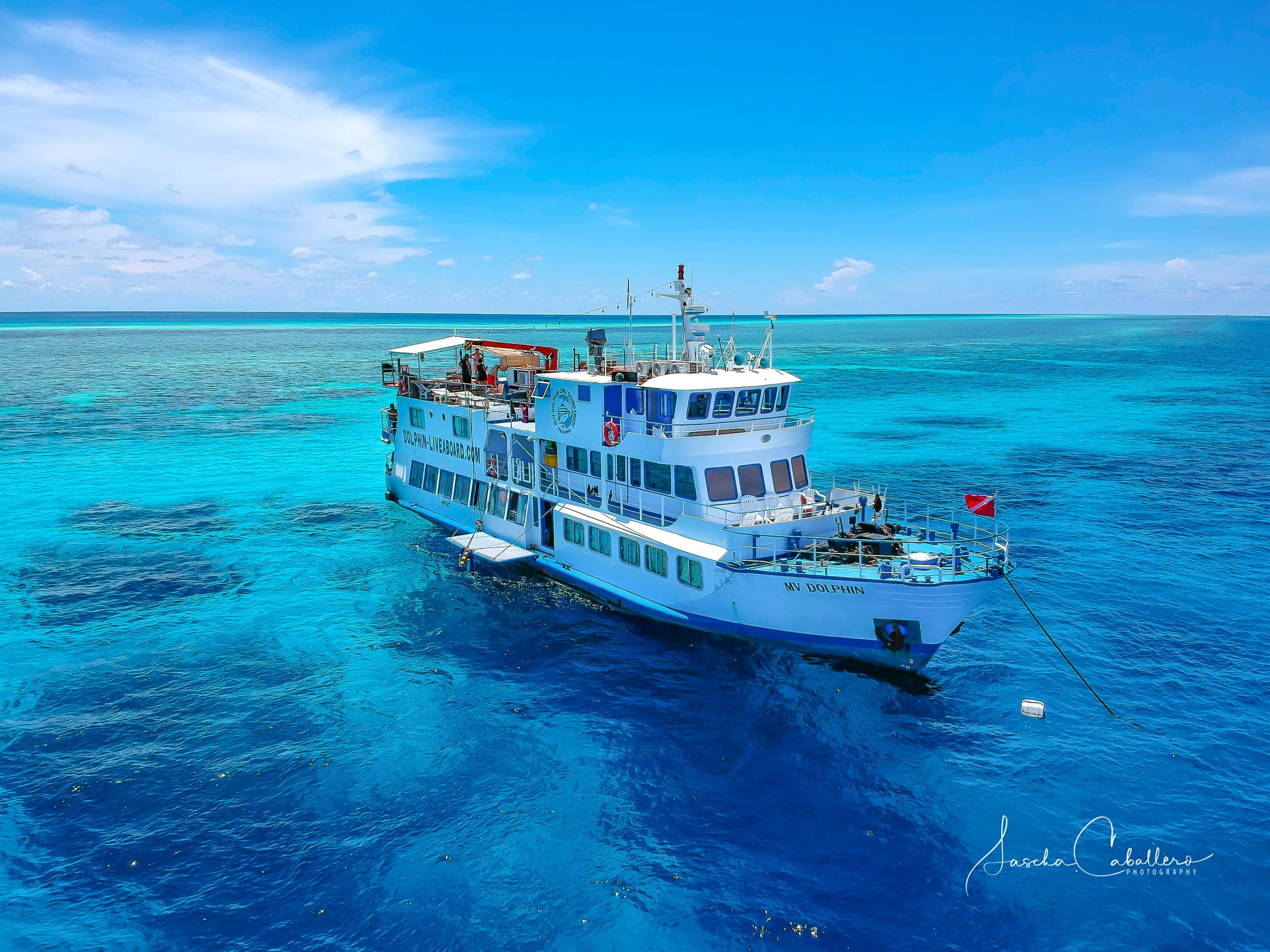 MV Dolphin - Sea Pics